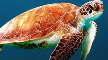 Landscape and nature of the Cape Verdean Islands